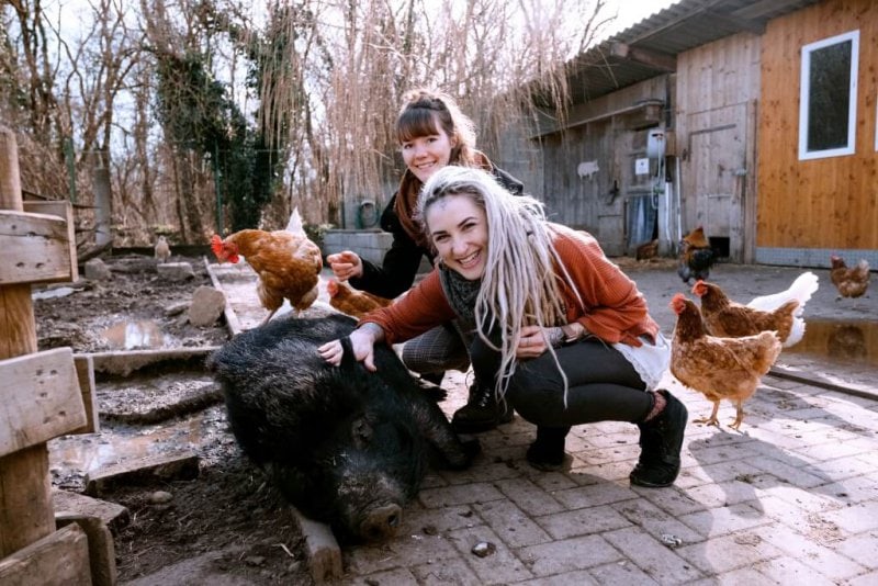 Gnadenhof Papillon - A visit to the French life farm