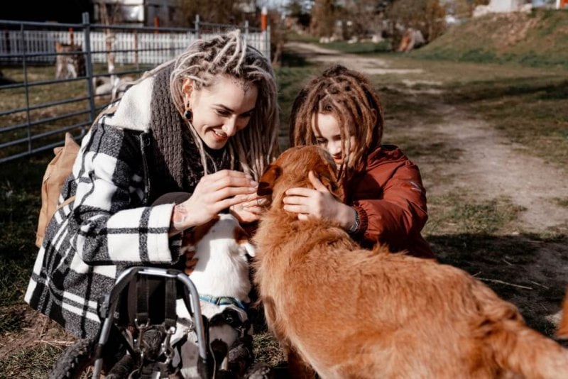 Gnadenhof Papillon - A visit to the French life farm