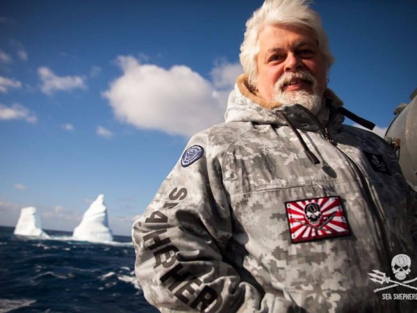 Vegane Revolution: Thomas Isermann von GREENFORCE