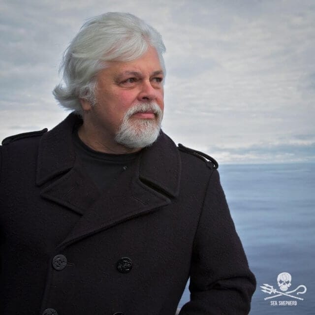 The Robin Hood of the Oceans - Captain Paul Watson (Sea Shepherd)
