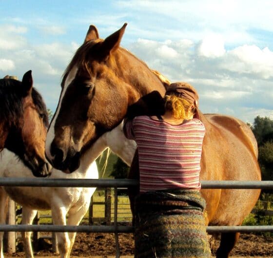 Fiona Oakes - Run for Good / Im Interview über vegane Rekorde