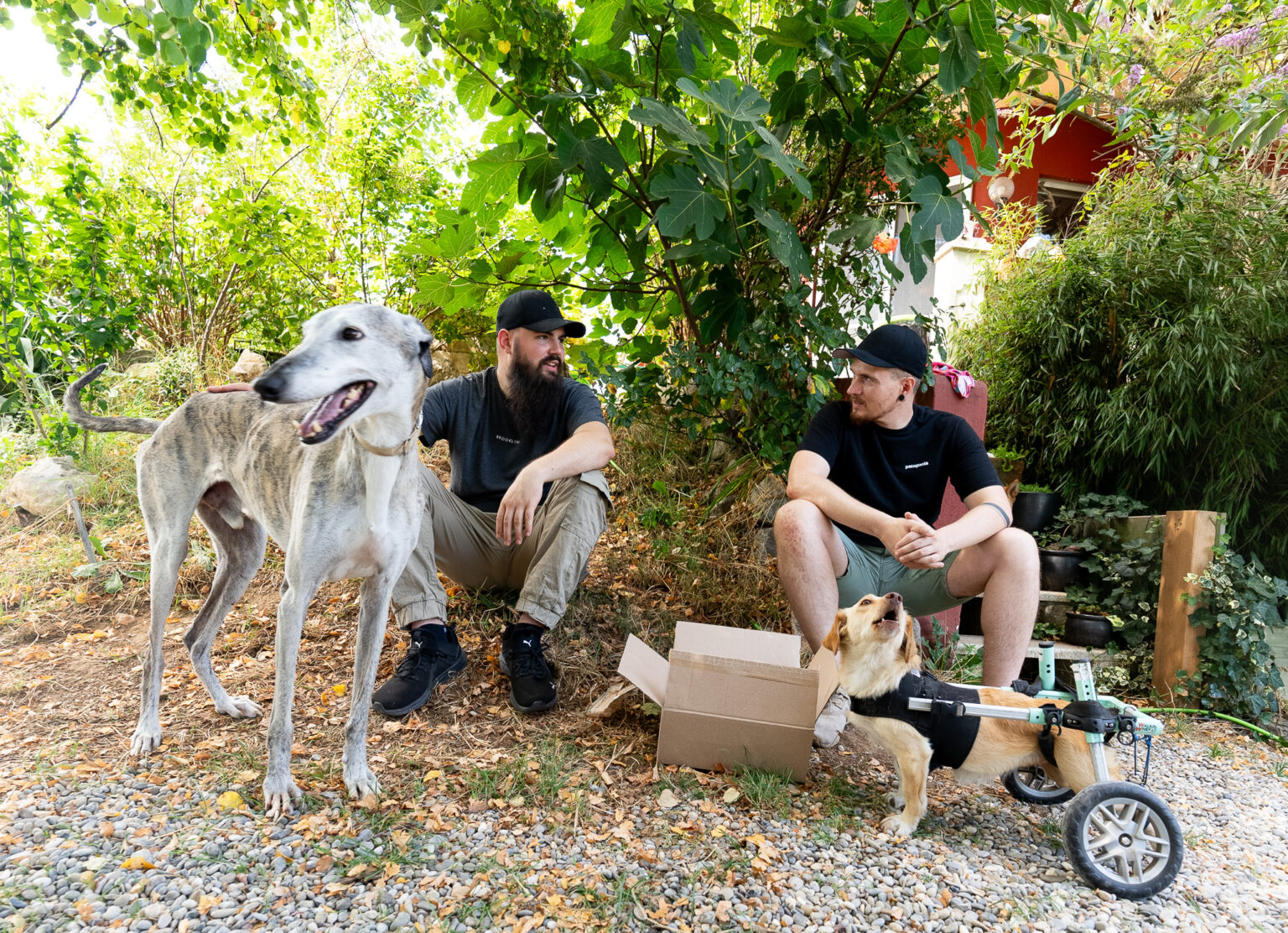 Die Stimme des Löwen: Vegan-Rapper Pikayzo